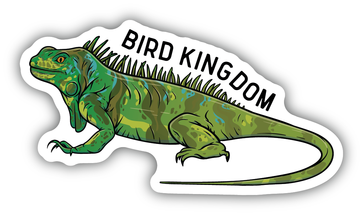 Iguana Bird Kingdom Sticker – Bird Kingdom Giftstore