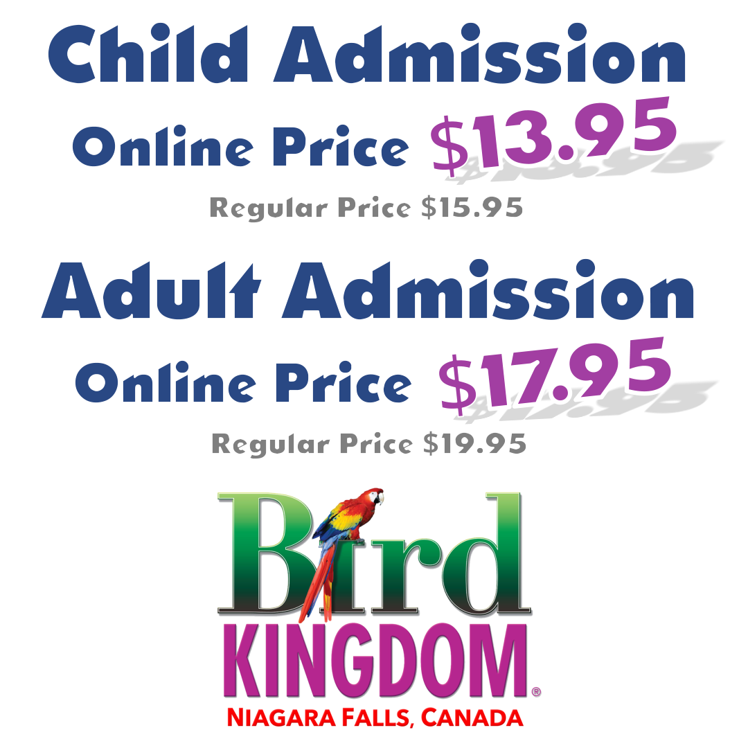 Bird Kingdom Admission – Bird Kingdom Giftstore